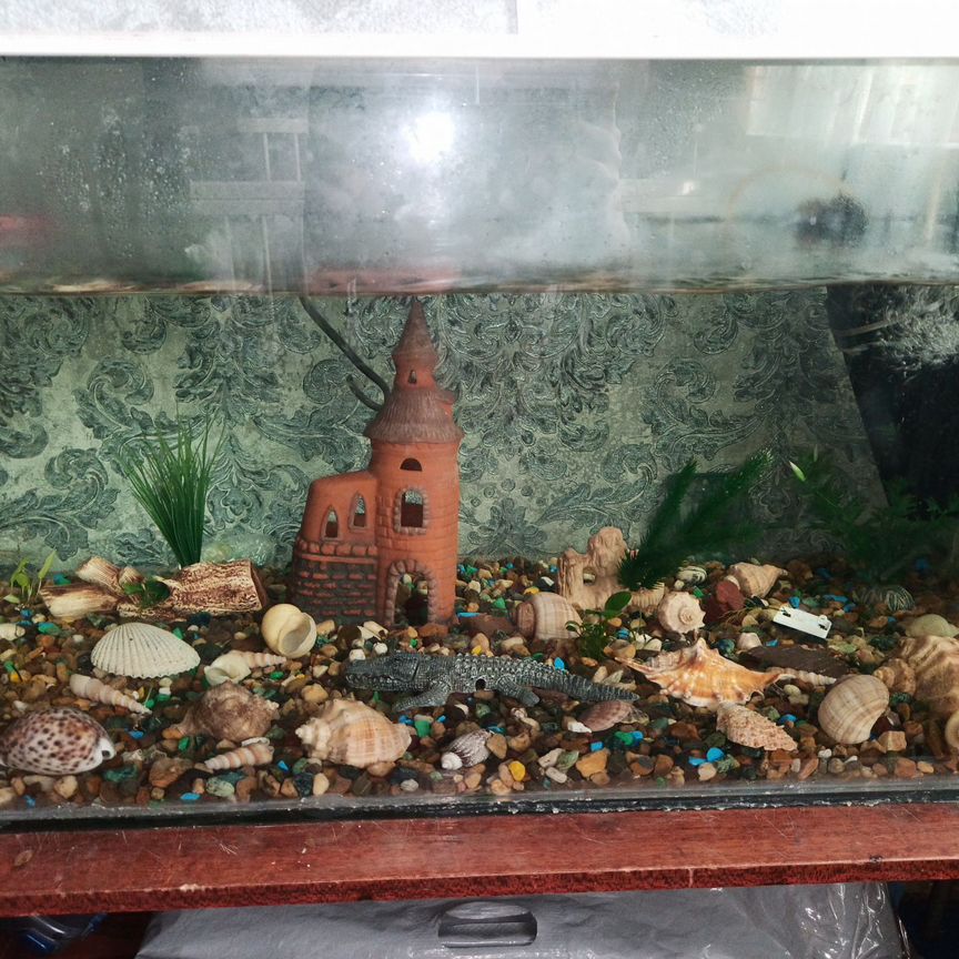 Аквариум на 100 литров