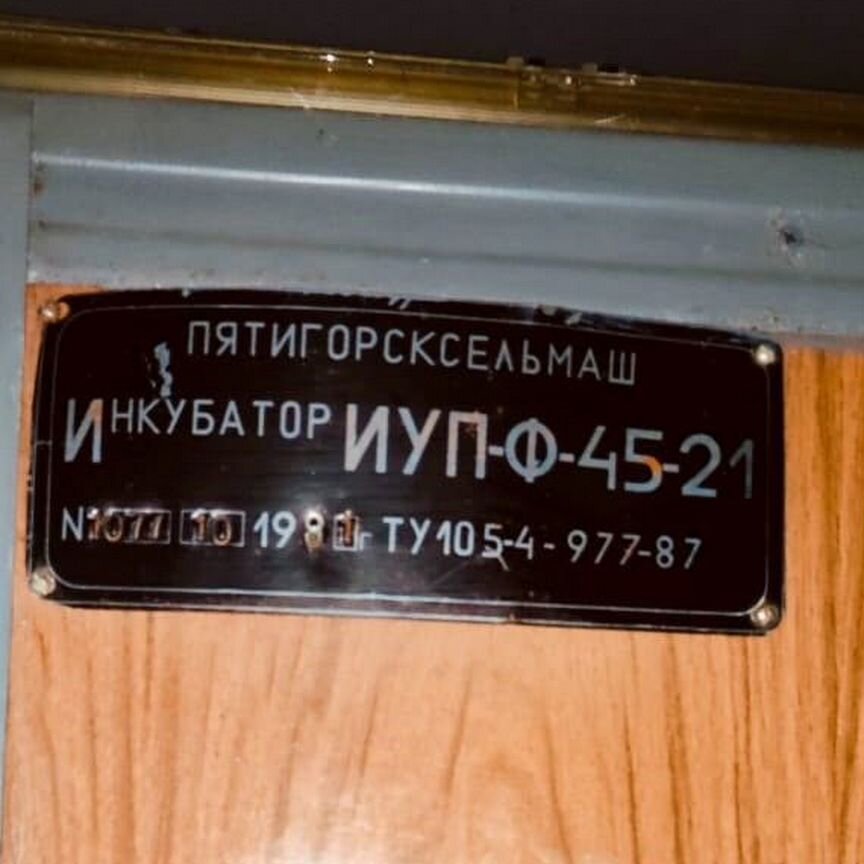 Промышленный инкубатор иуп-45