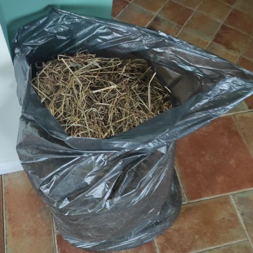 Сено для домашних животных