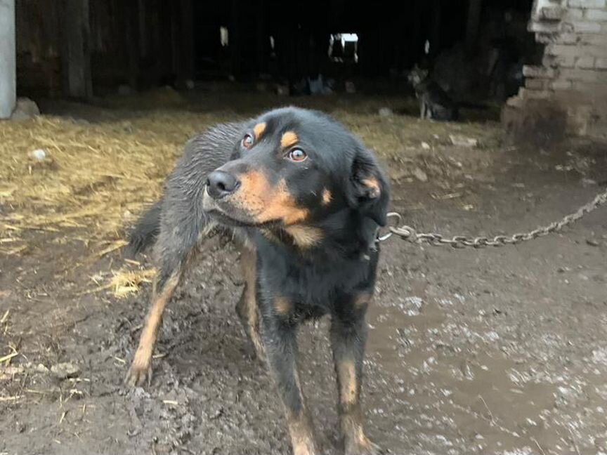 Это не жизнь