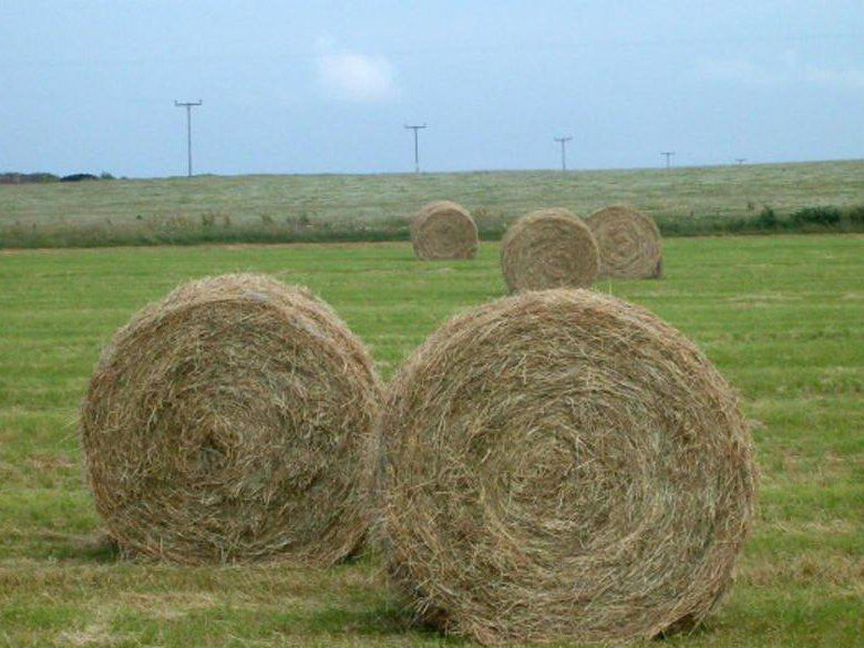 Сено в тюках