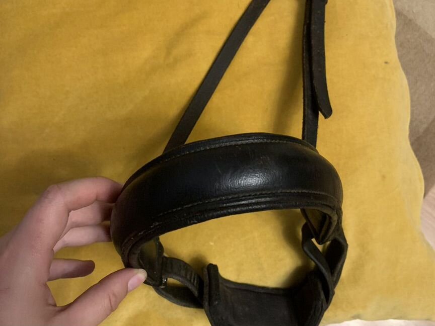 Капсюли, налобники для лошади