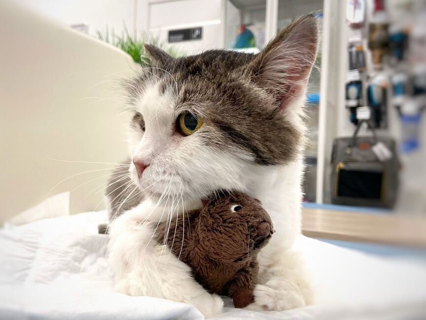 Старушка не теряет надежды