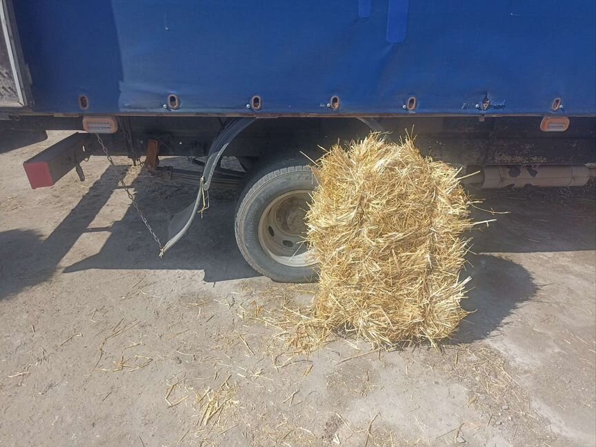 Овсяная солома для мульчи