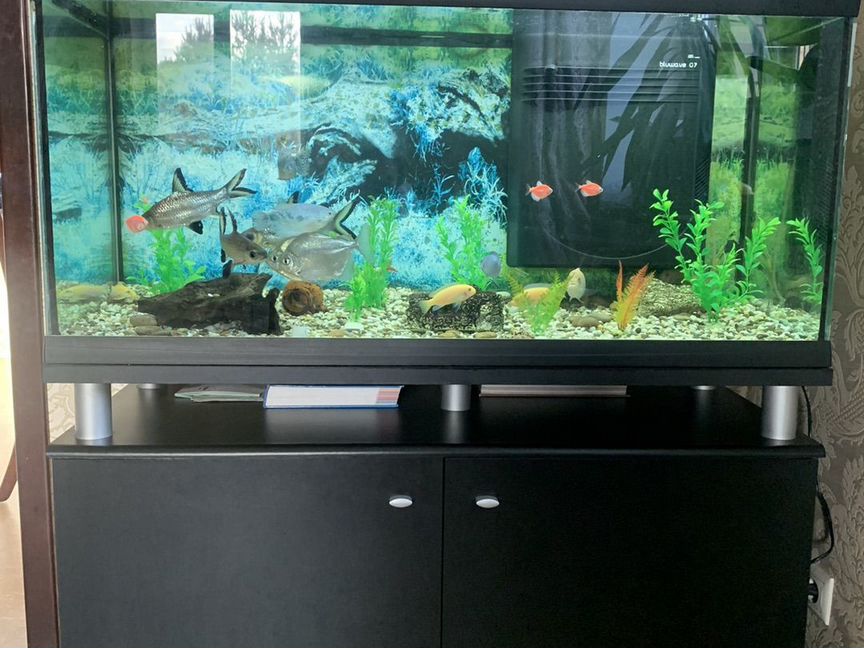 Аквариум с тумбой Ferplast Cayman (230 л.)