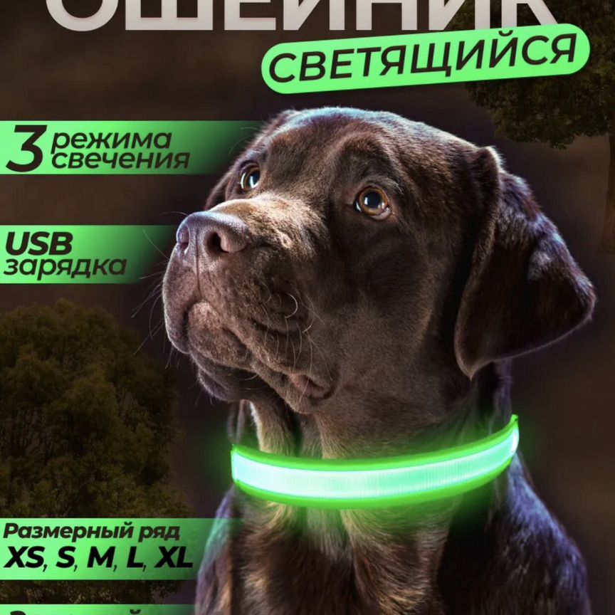 Ошейник светящийся L