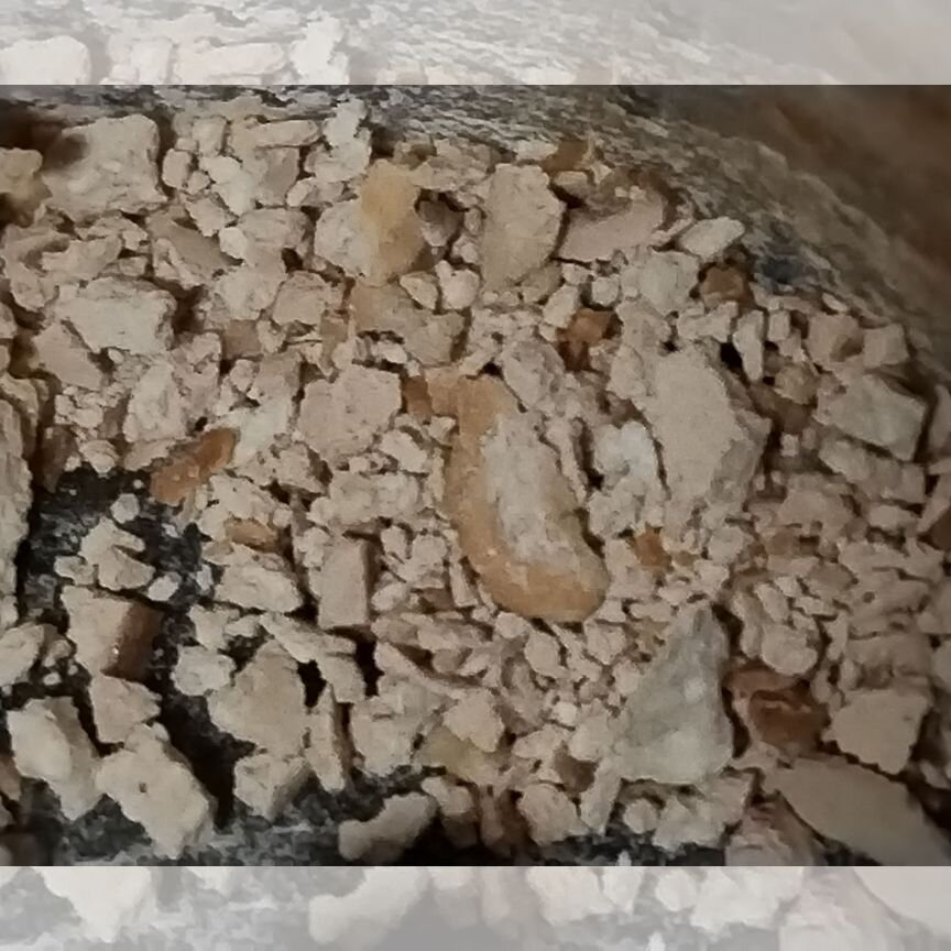 Желчный камень крс в порошке