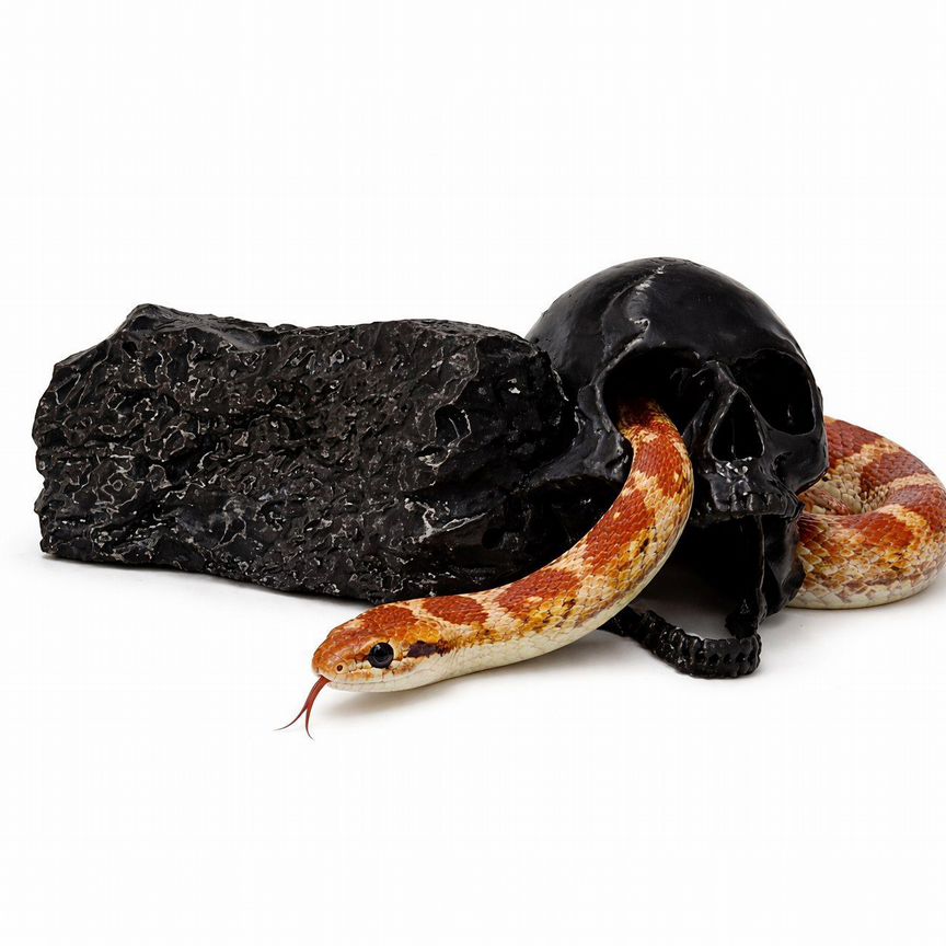 Укрытие для рептилий, рыб, ящериц