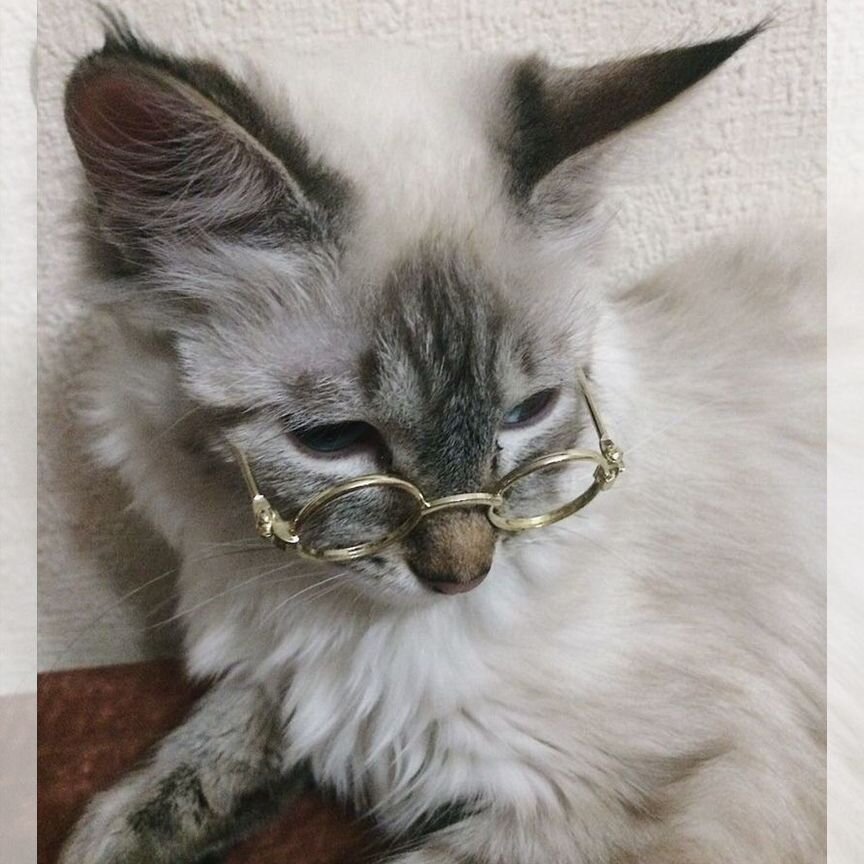 Невская маскарадная бесплатно