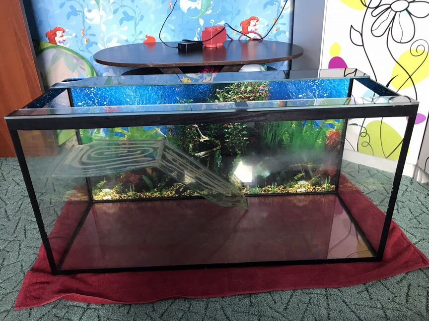 Продам аквариум,террариум