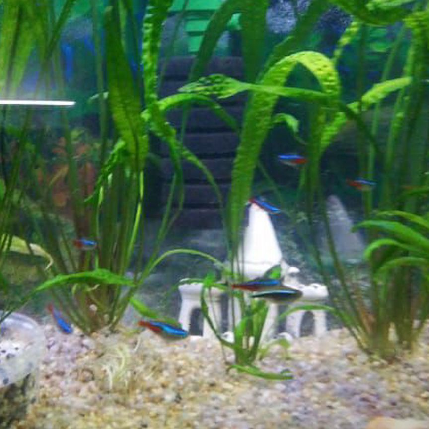 Украшение для аквариума