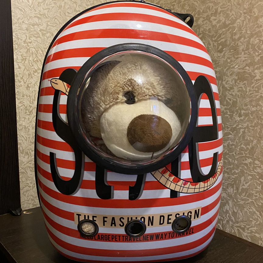 Рюкзак переноска для кошек и собак