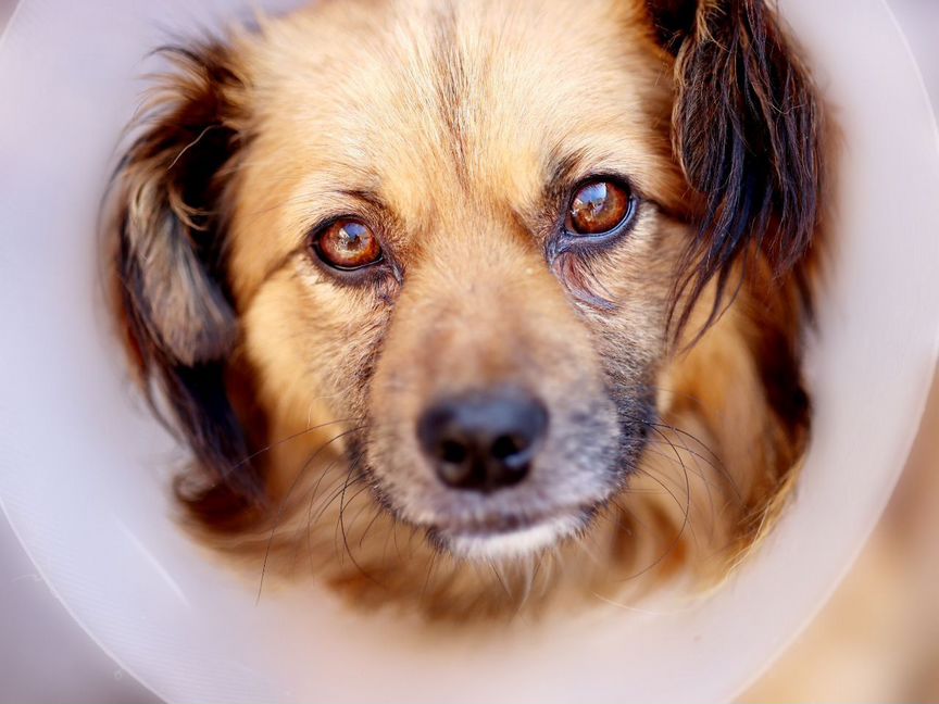 Мальчик Макс