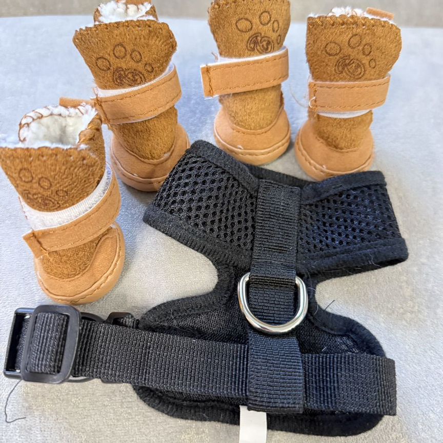 Ботинки для мелкой собаки типа той терьера мини