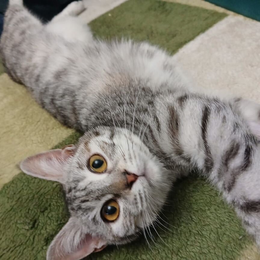 Валентина Михайловна ищет дом