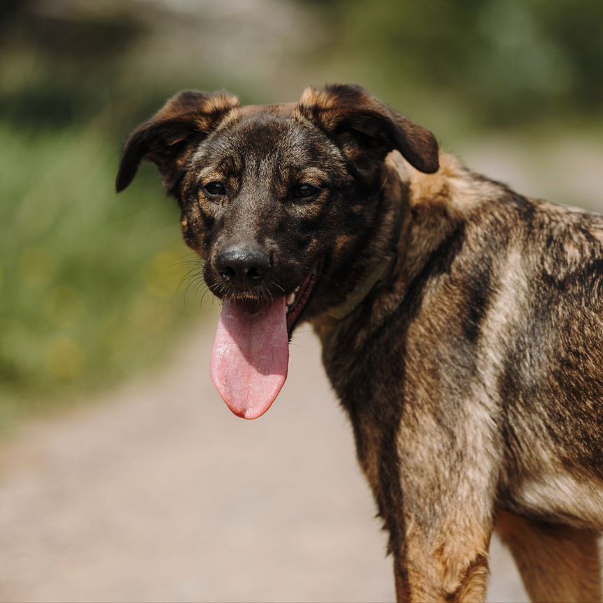 Крупная девочка