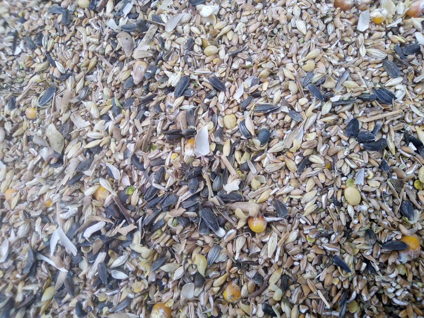 Зерно смеси для животных. обмен возможен