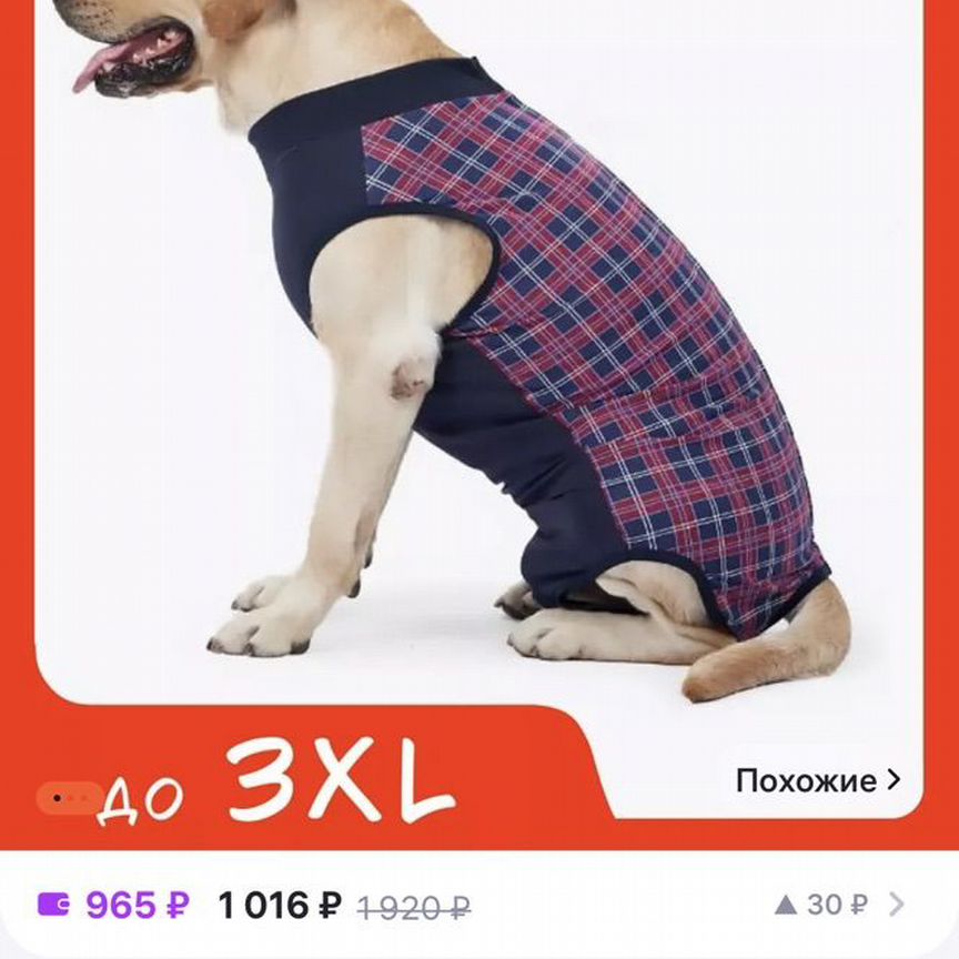 Попона для собак