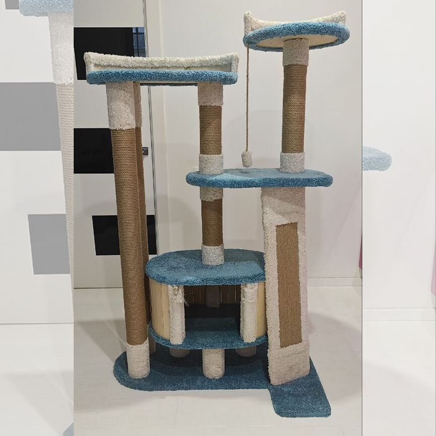 Кошачий комплекс
