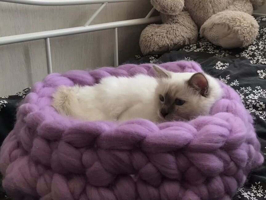 Лежанка-лукошко