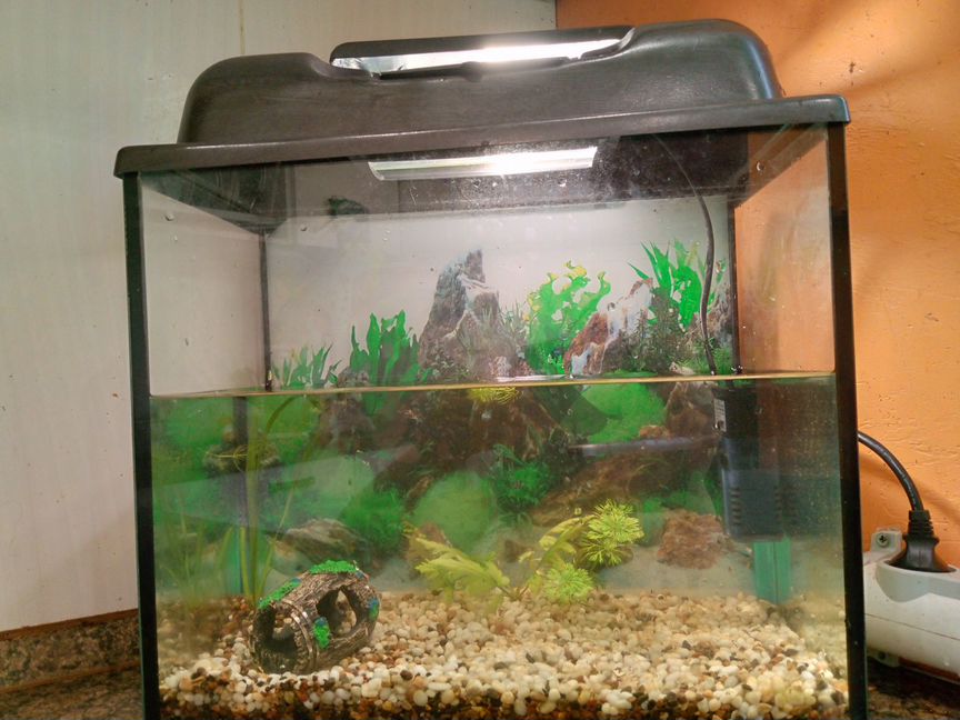 Аквариум 25 литров