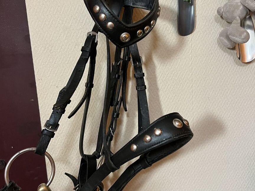 Уздечка для лошади