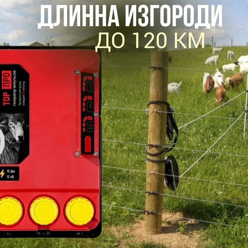 Электропастух