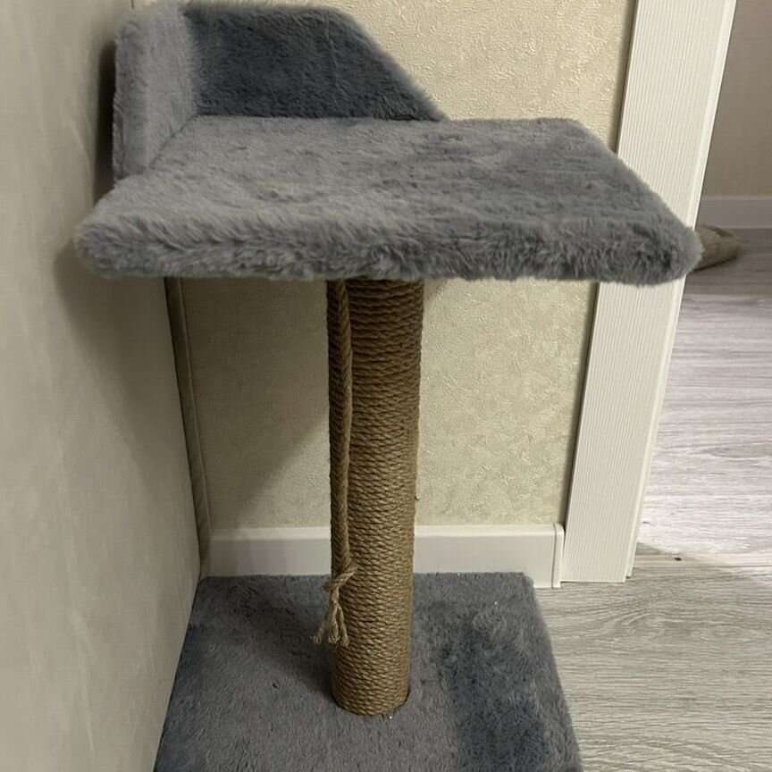 Когтеточка