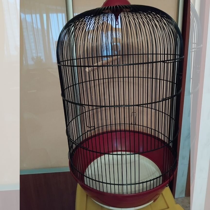 Клетка для попугая