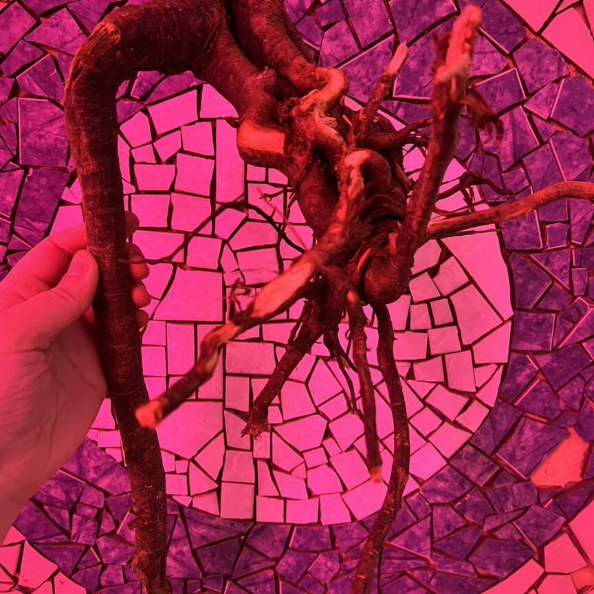 Коряга в аквариум