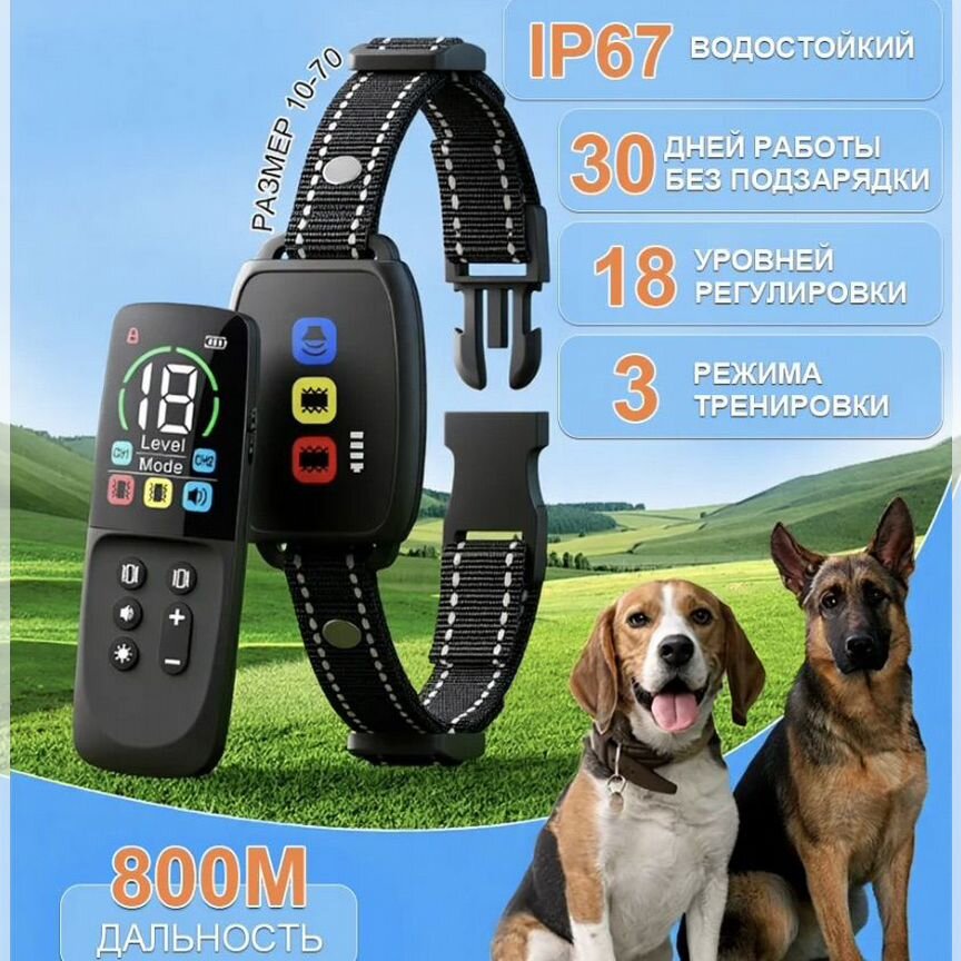 Ошейник для корректировки поведения собаки