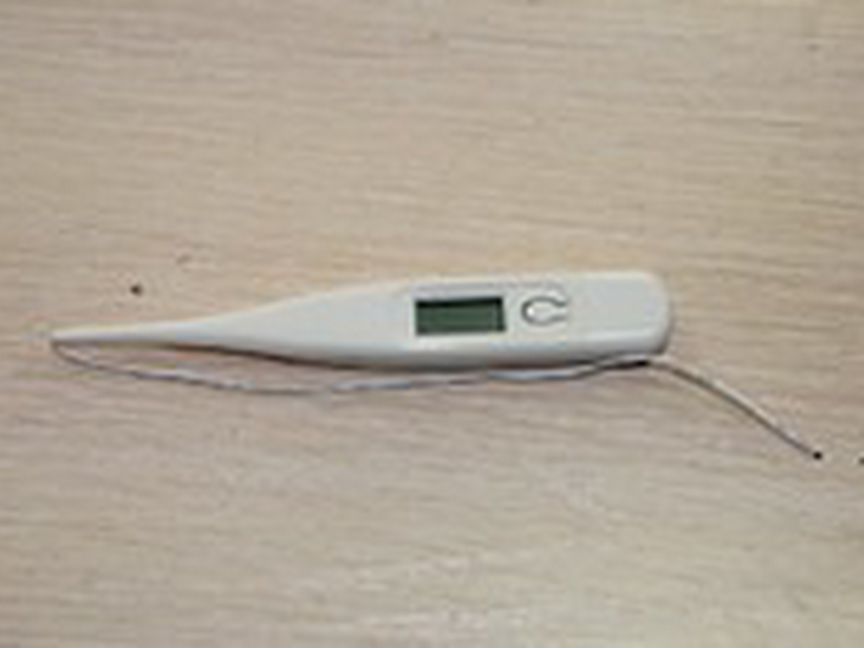 Термометр электронный для инкубатора