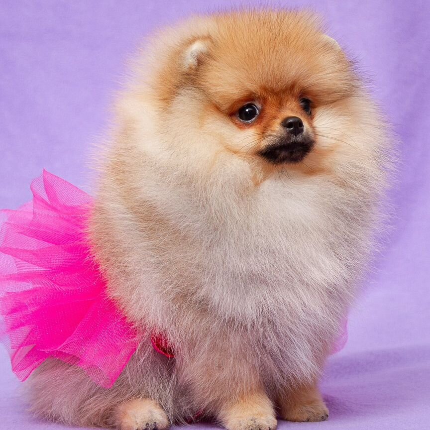 Супер кукла от шикарных родителей