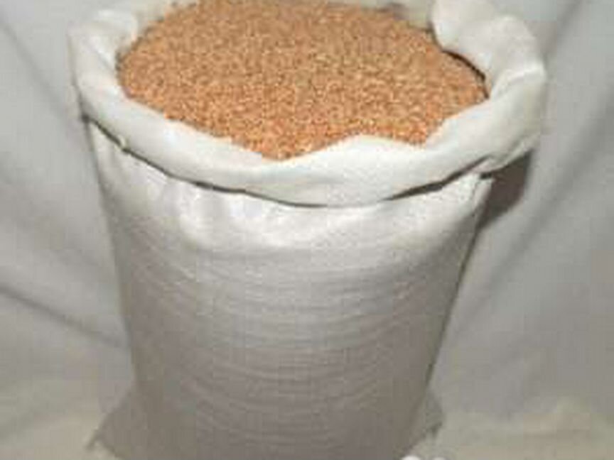 Семена пшеницы озимой