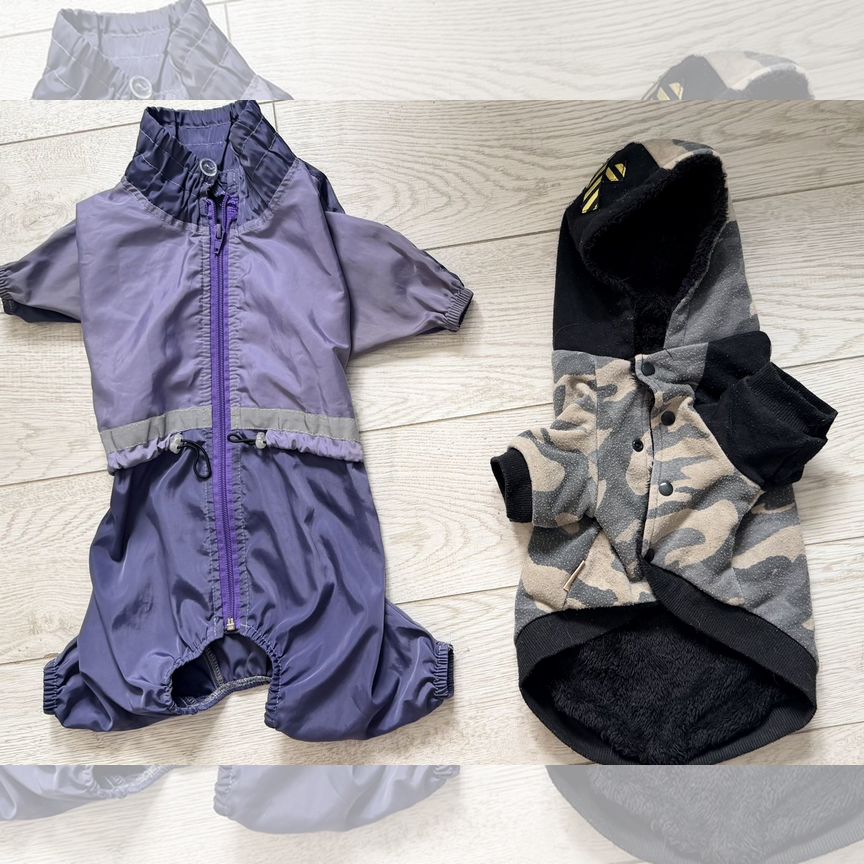 Одежда для собак