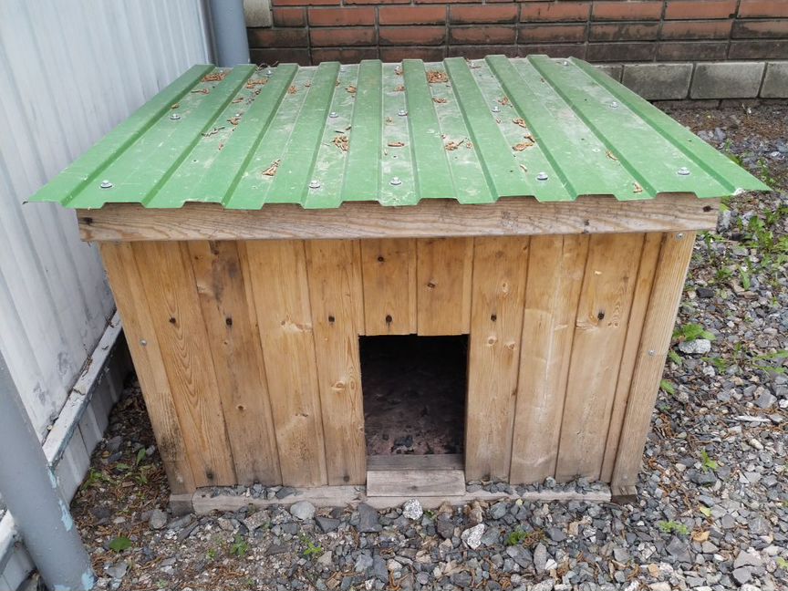 Собачья будка