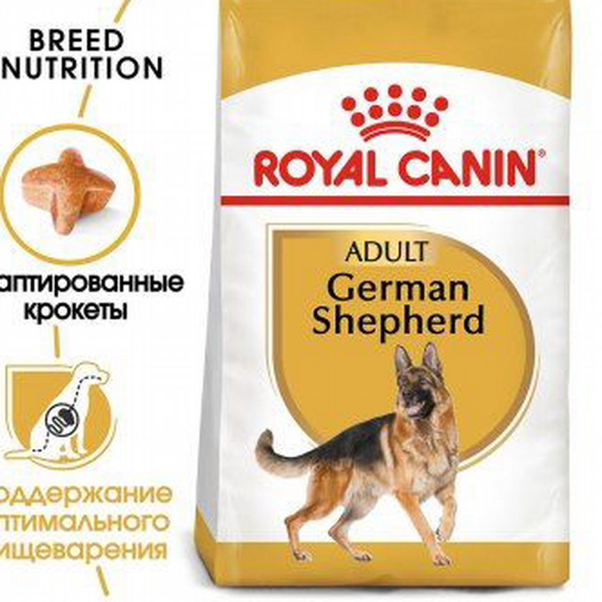 German shepherd adult 24 PRO 16 кг