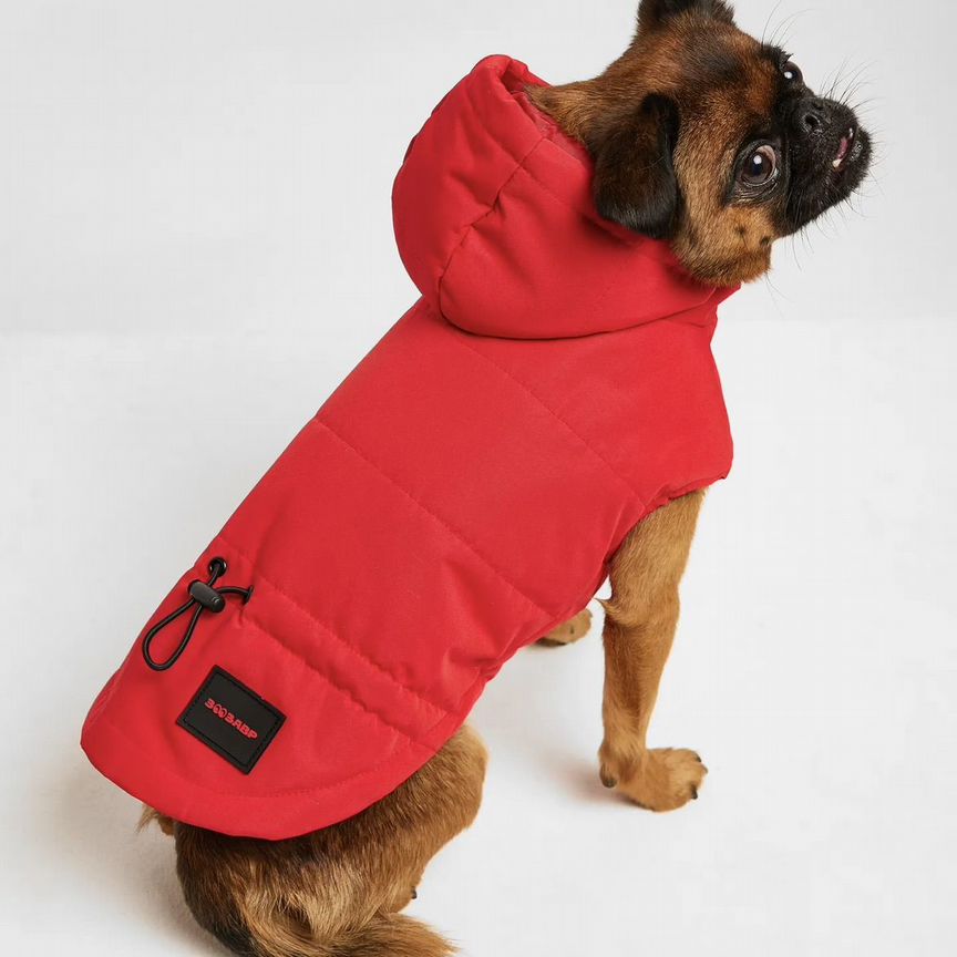 Жилетка для собак