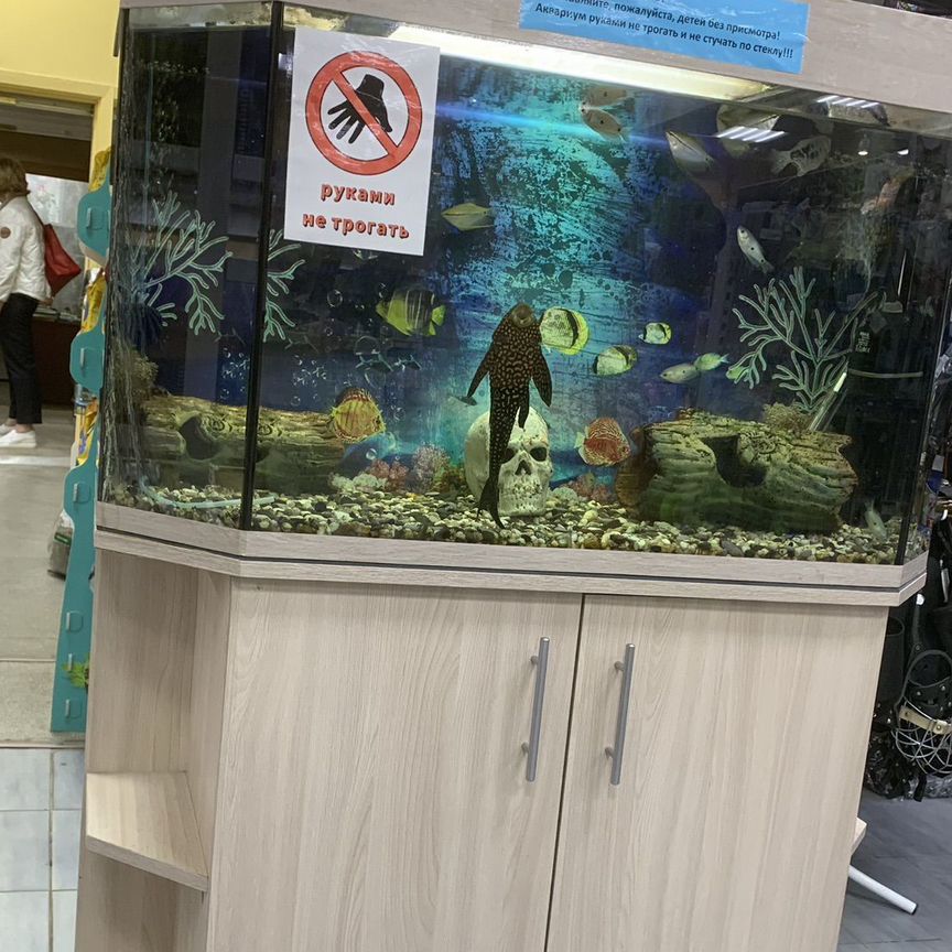 Аквариум с тумбой бу 200л