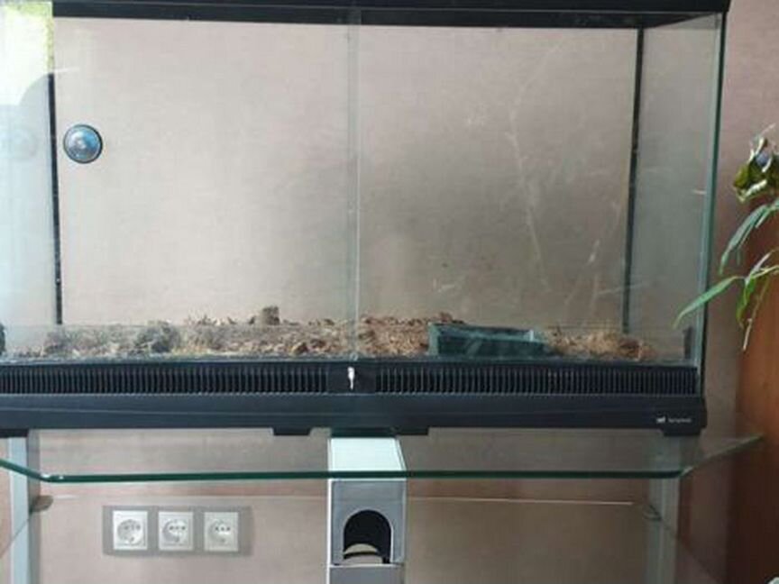 Террариум ferplast explora 80 (с Лампой 64см)