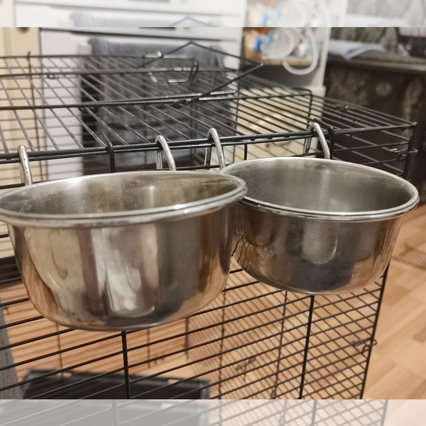 Миски для щенка или не большой собаки