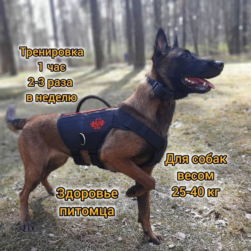 Спортивный жилет для собак с грузом 3 кг