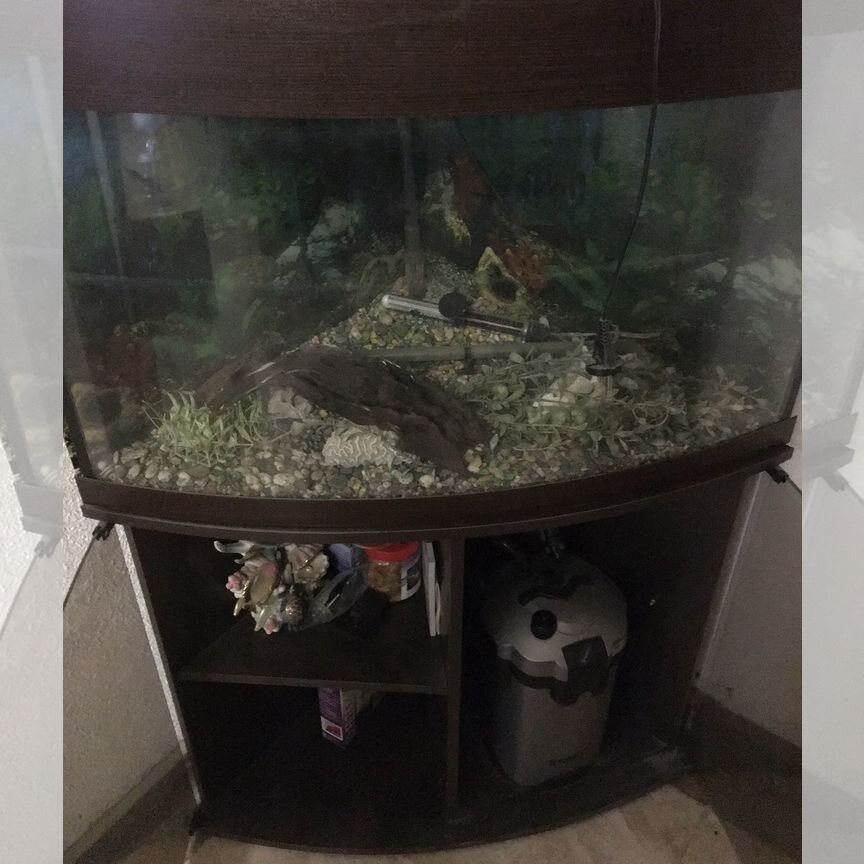Аквариум с тумбой угловой