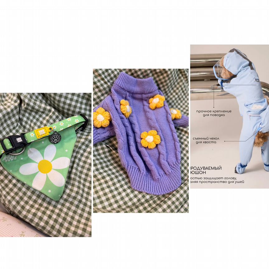 Одежда и амуниция для собак