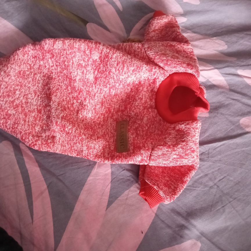 Свитер для кошки и для маленьких собак