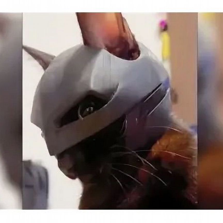 Шапка Бэтмэн для кота