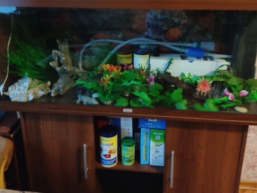 Аквариум с тумбой 240л