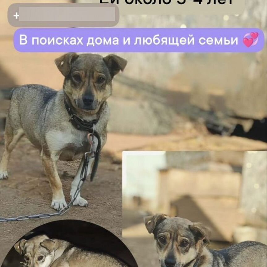 Девчонка на холоде