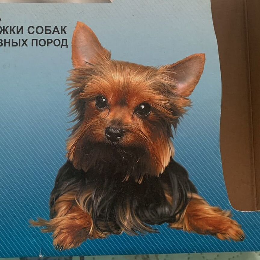 Машинка доя стрижки собак