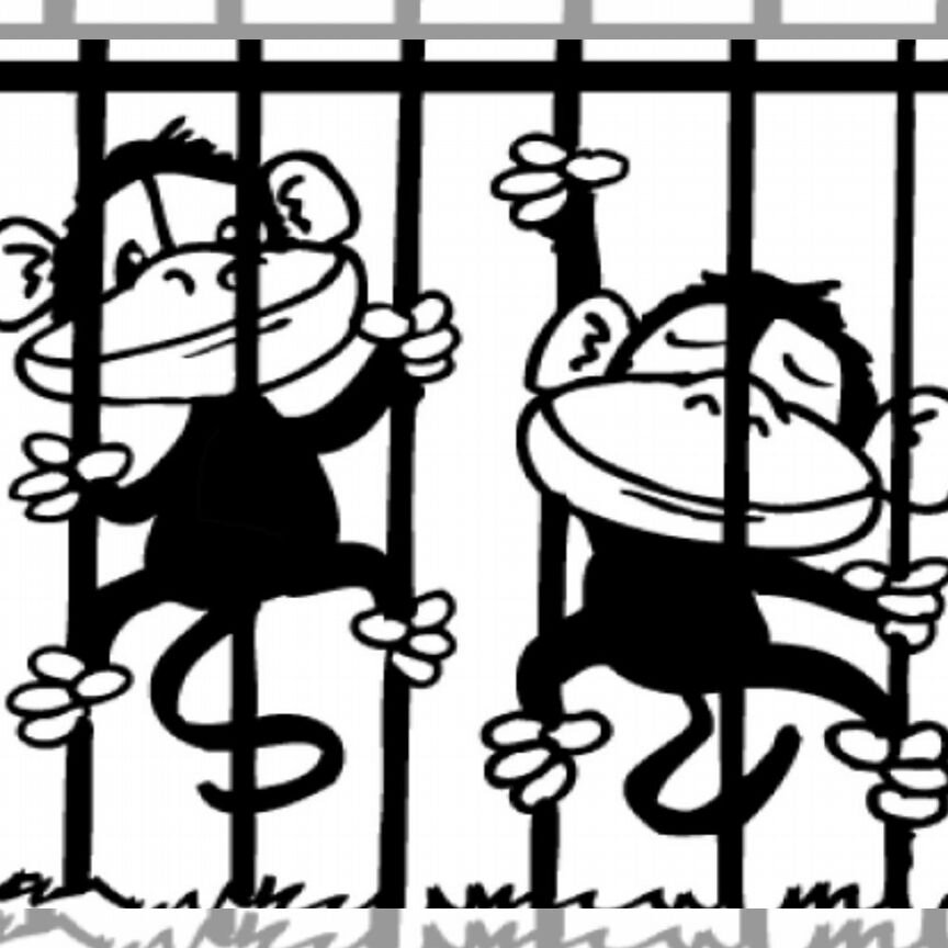 Витрина для экзотических животных